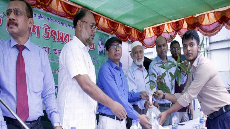 Home - Holy Land College